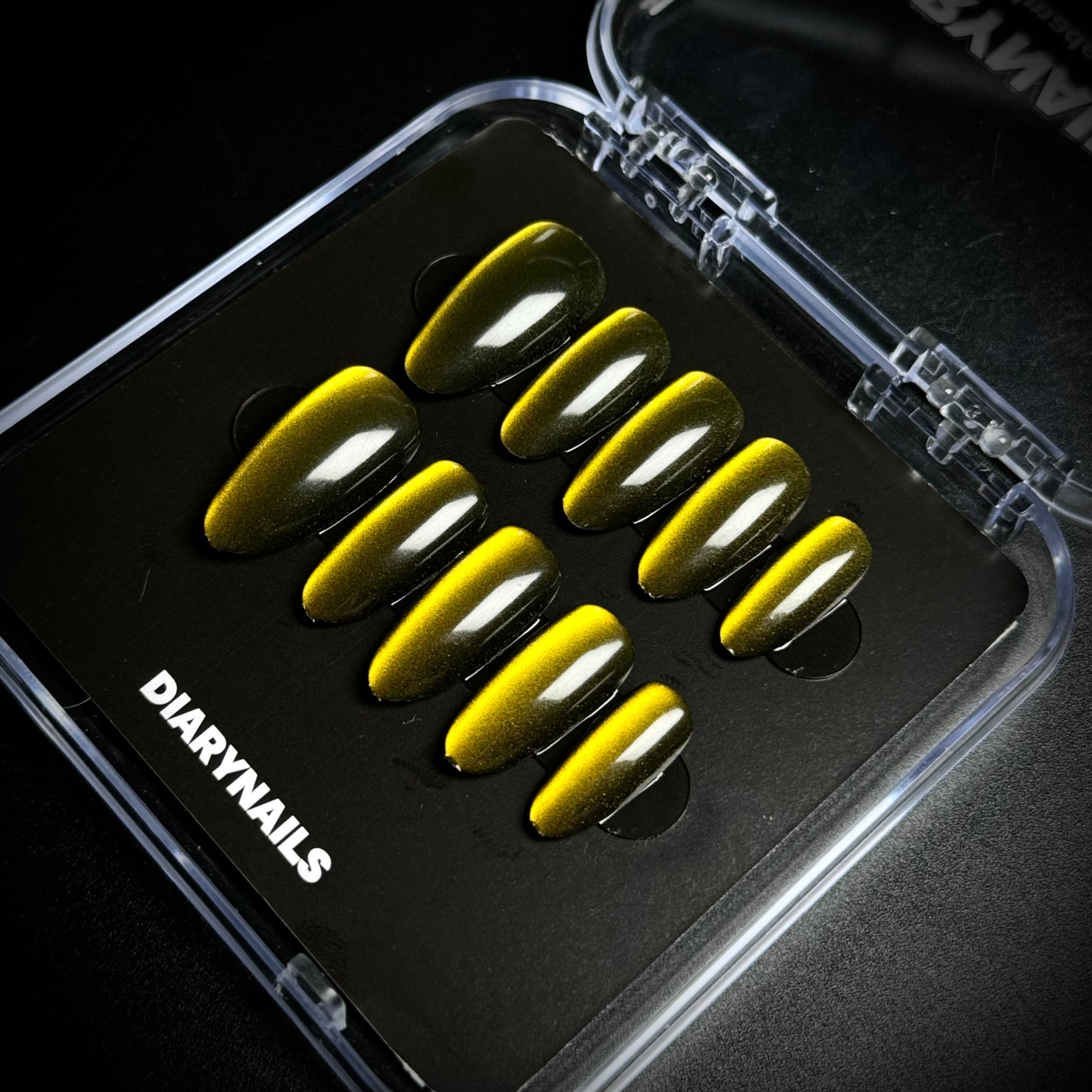 Chameleon – Diary Nails