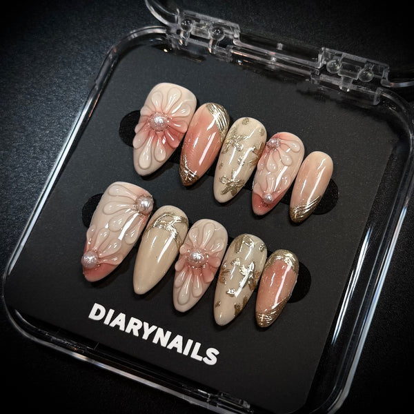 Diary Nails: Press on Nails